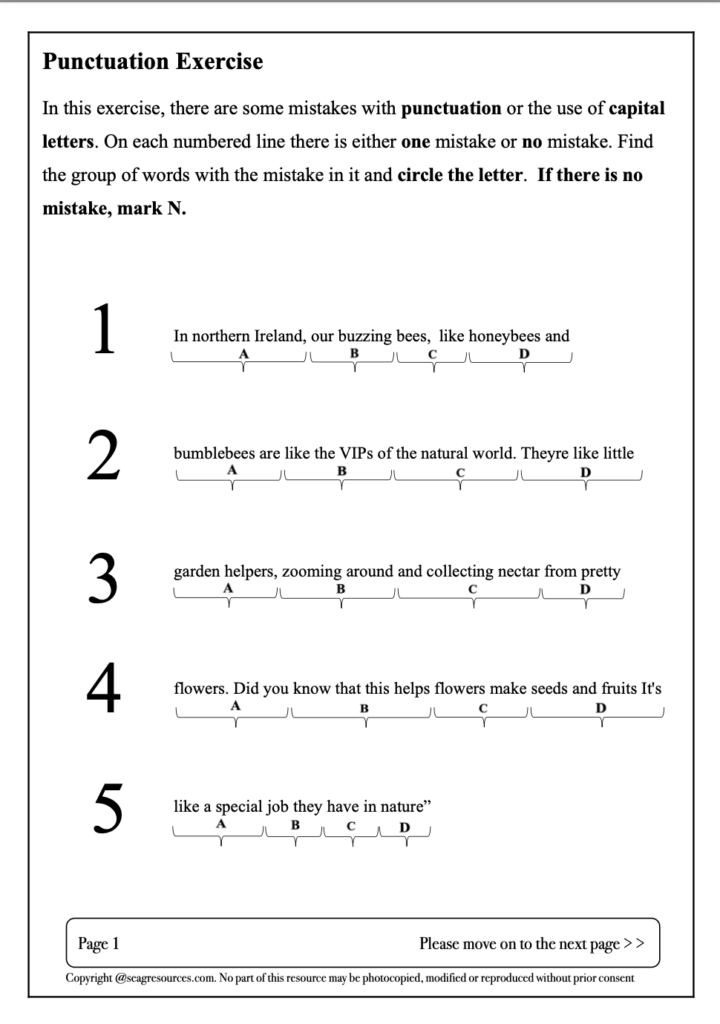 Level One Practice Papers (Set 1) | NI Primary School Resources