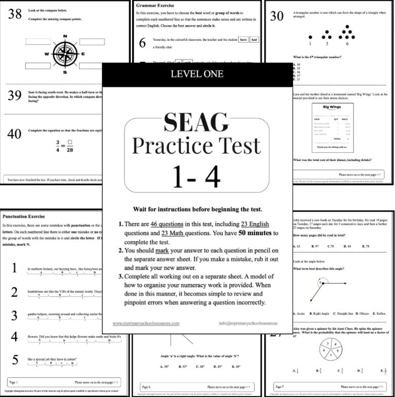 NI Primary School Resources | Transfer Tests | SEAG | Northern Ireland