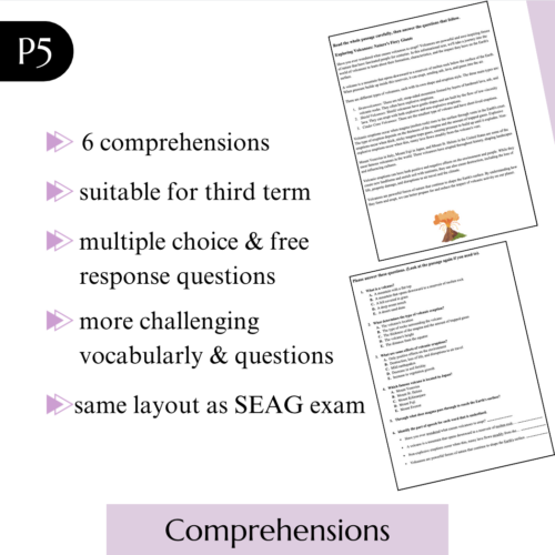 Comprehension Booklet (P5) | NI Primary School Resources