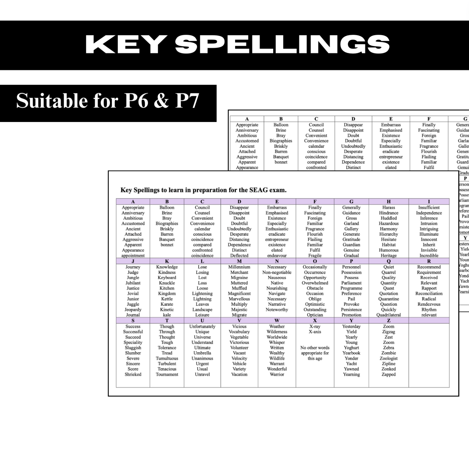 NI Primary School Resources | Transfer Tests | SEAG | Northern Ireland