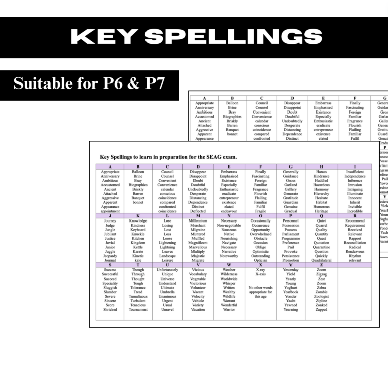 NI Primary School Resources | Transfer Tests | SEAG | Northern Ireland