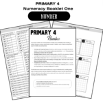 NI Primary School Resources | Transfer Tests | SEAG | Northern Ireland