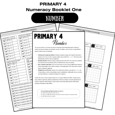 NI Primary School Resources | Transfer Tests | SEAG | Northern Ireland