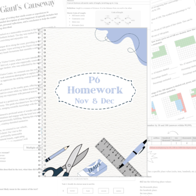NI Primary School Resources | Transfer Tests | SEAG | Northern Ireland