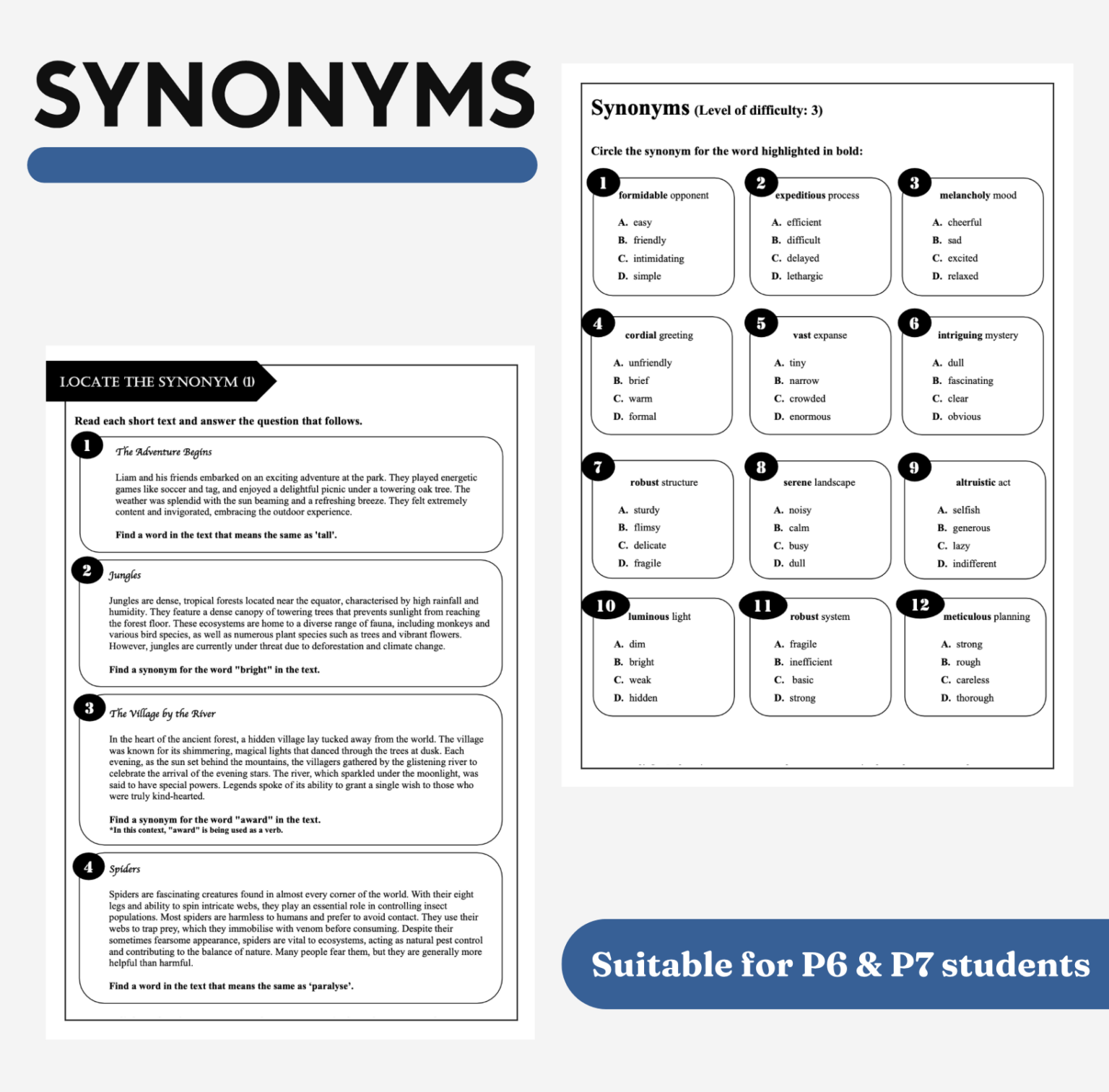 Synonyms (1) | NI Primary School Resources