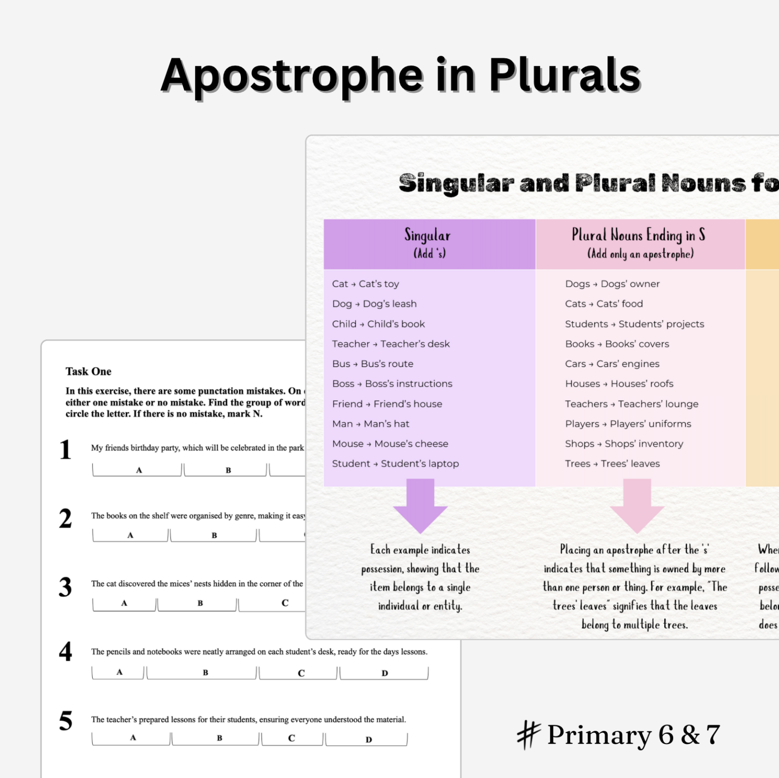NI Primary School Resources | Transfer Tests | SEAG | Northern Ireland